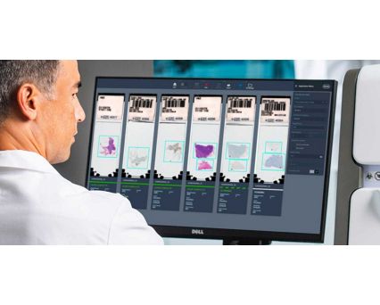 Digital pathology image analysis algorithms