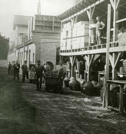 Acerca de Roche Diagnostics