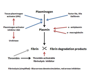 Información Médica y Científica