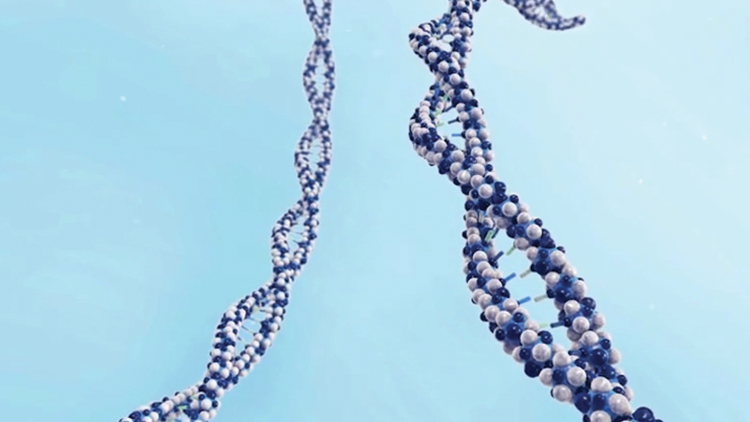 Roche Molecular Diagnostics