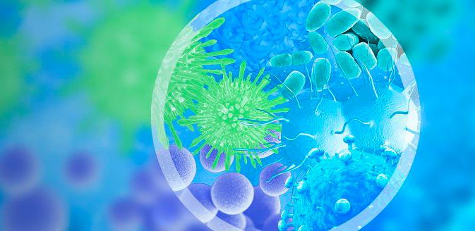 Assay menu for molecular testing