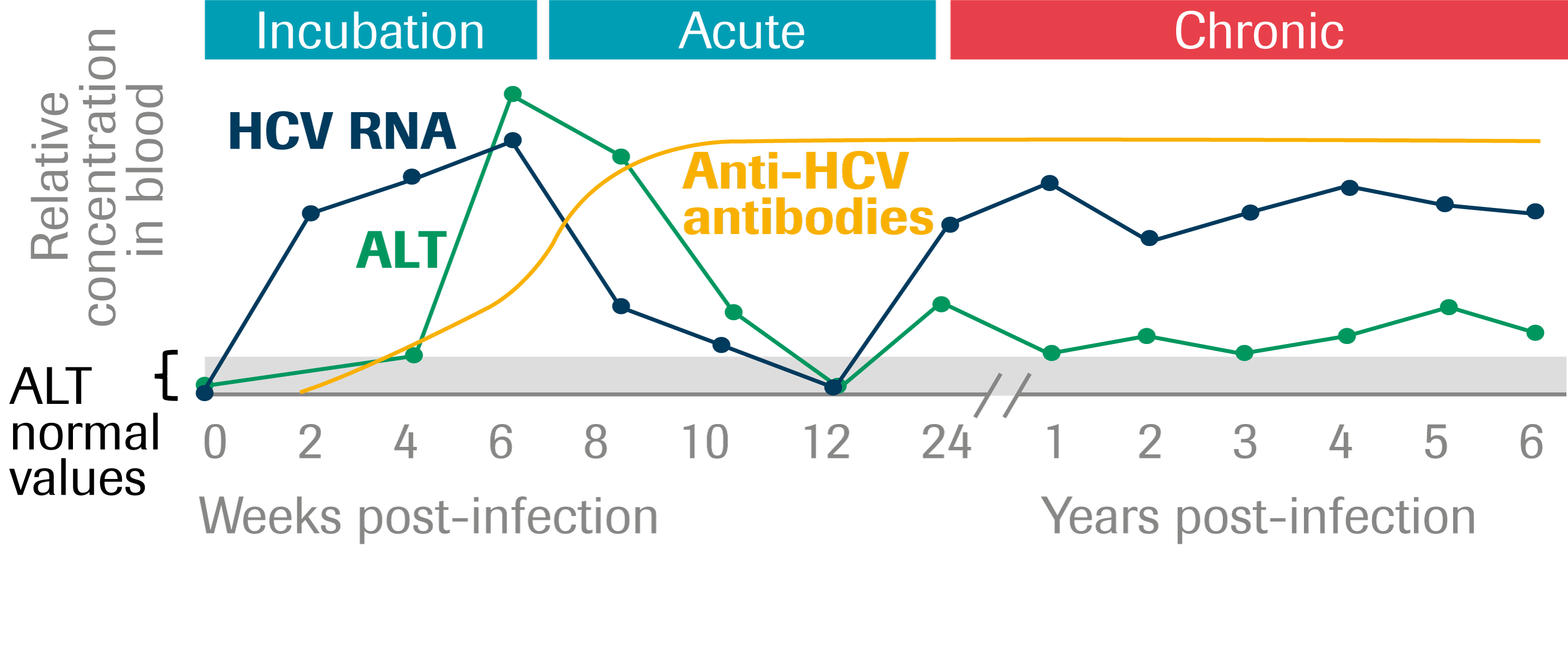 Elecsys Anti HCV II elecsys-anti-hcv-ii