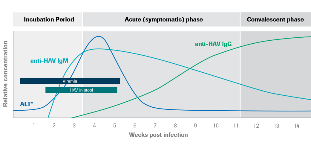 Elecsys® Anti-HAV IgM