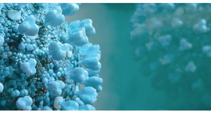 Roche Diagnostics France - Solutions de Diagnostic in Vitro