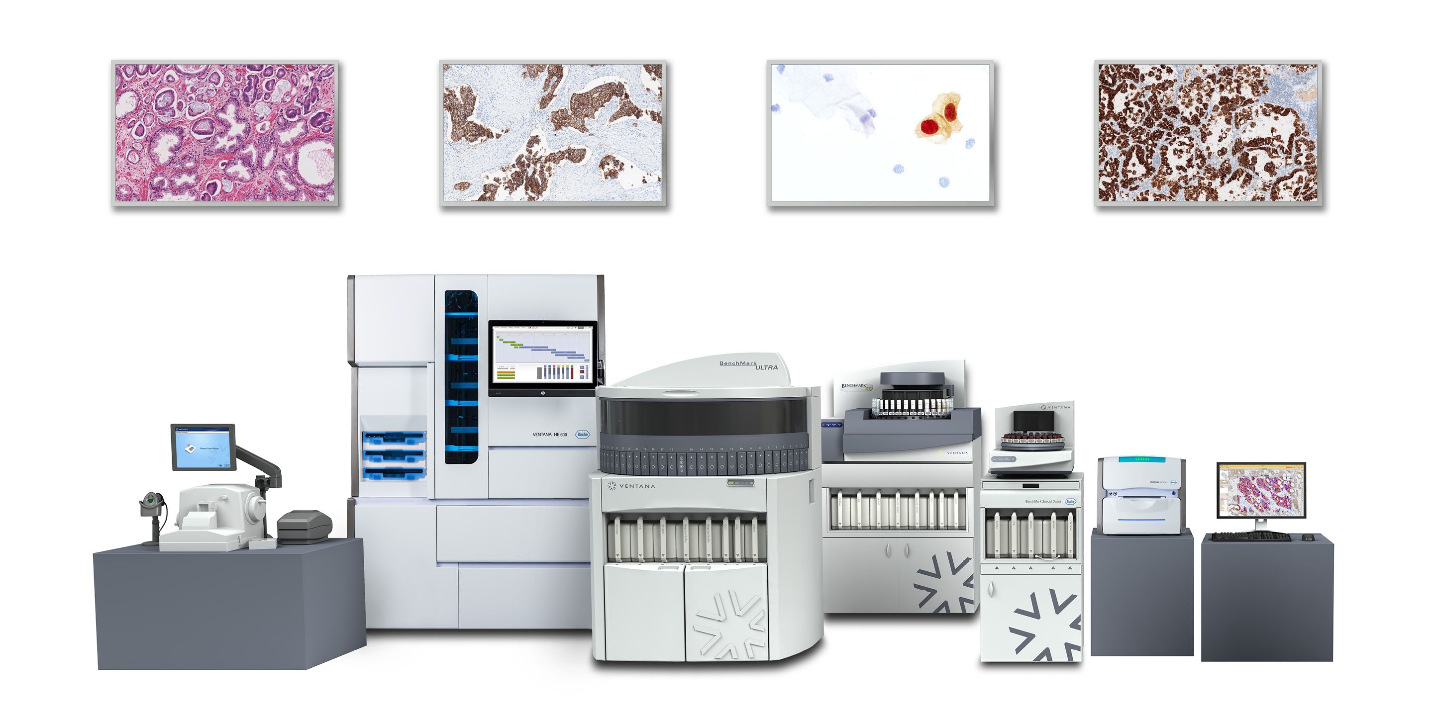 Roche Tissue Diagnostics