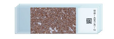 Hematopathology cancer IHC panel