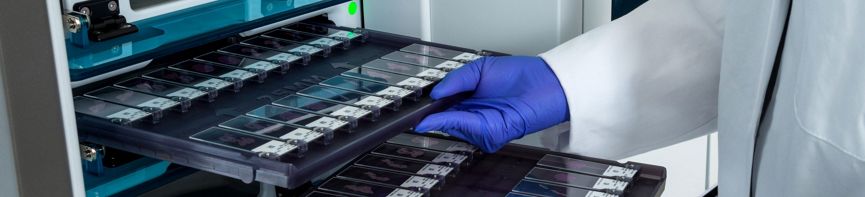 VENTANA HE 600 automated staining system