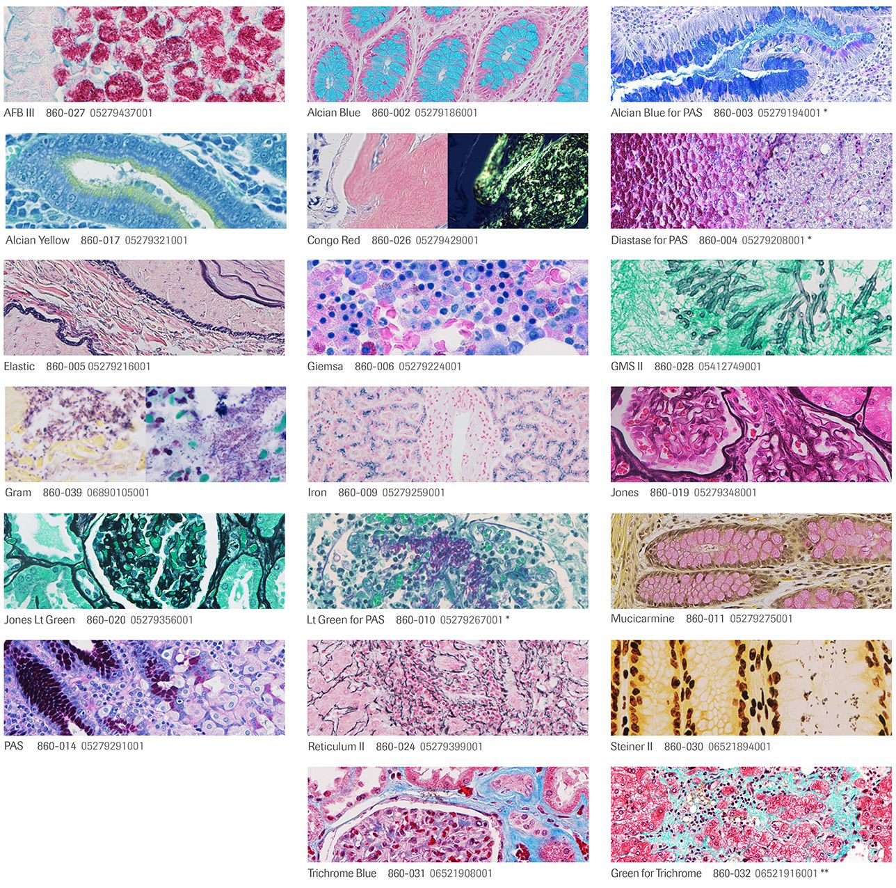 Stains Dyes Histopathology Service Stains Dyes Histopathology Service