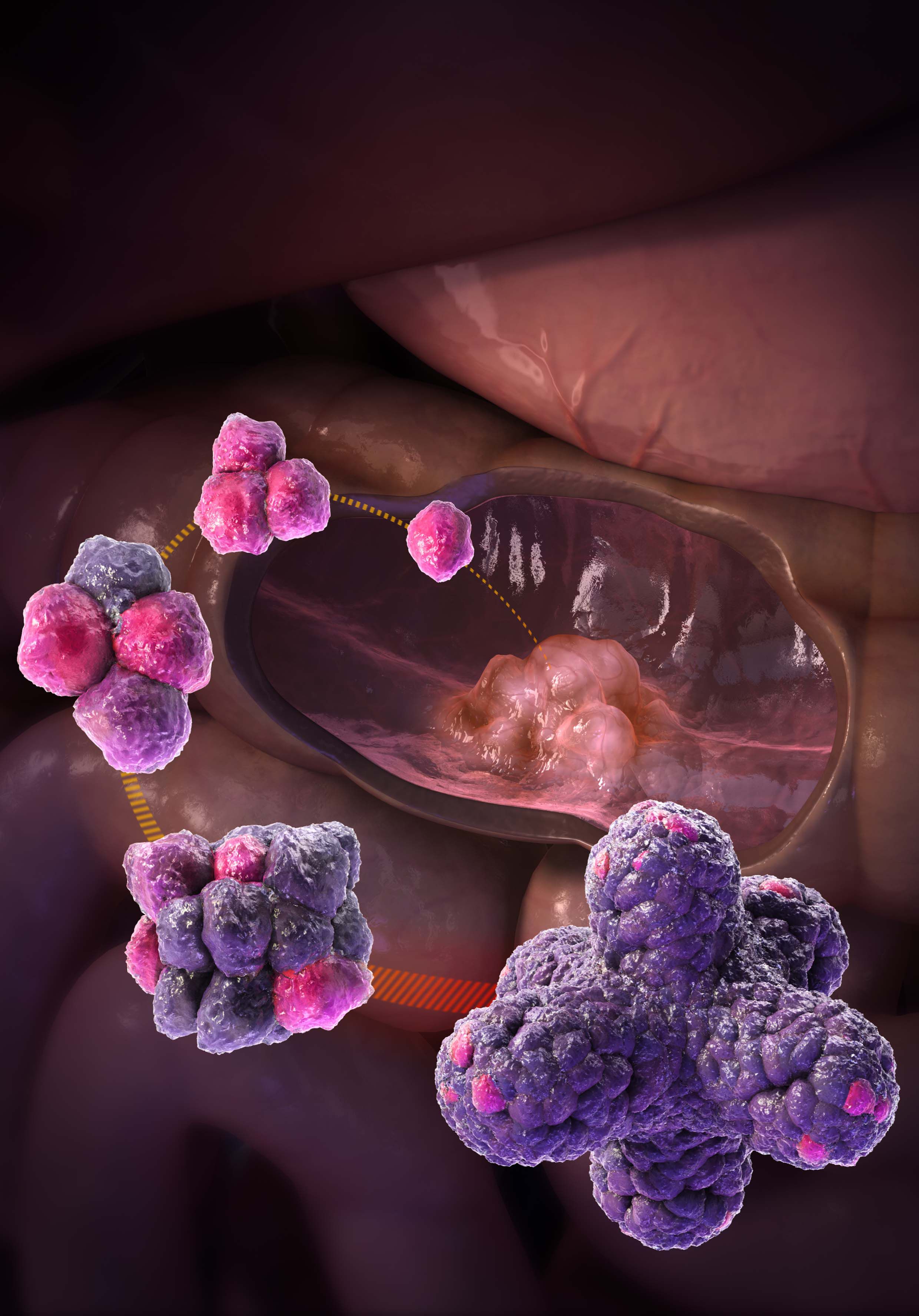 Interview Hans Clevers