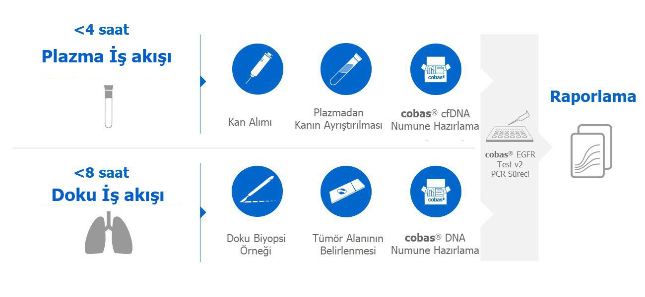 cobas® EGFR Mutasyon Testi v2