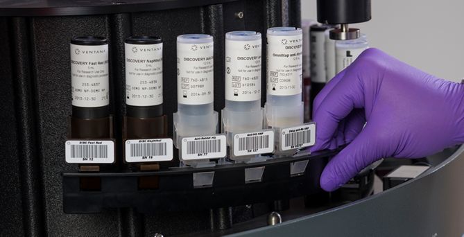 Immunohistochemistry (IHC) Resources