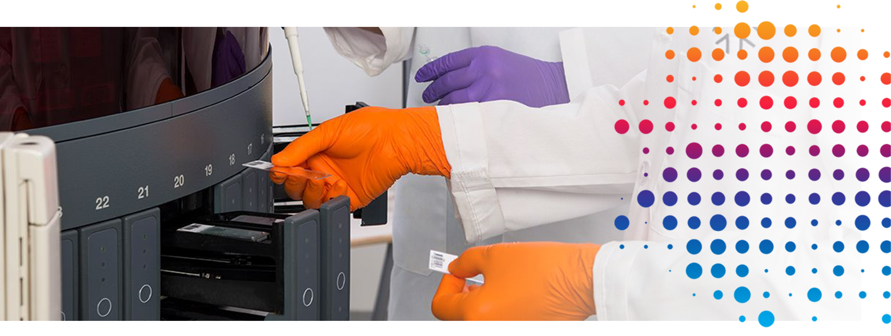 Immunohistochemistry (IHC) Resources