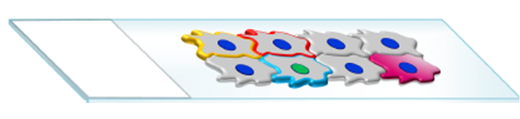 Immunohistochemistry (IHC) Resources