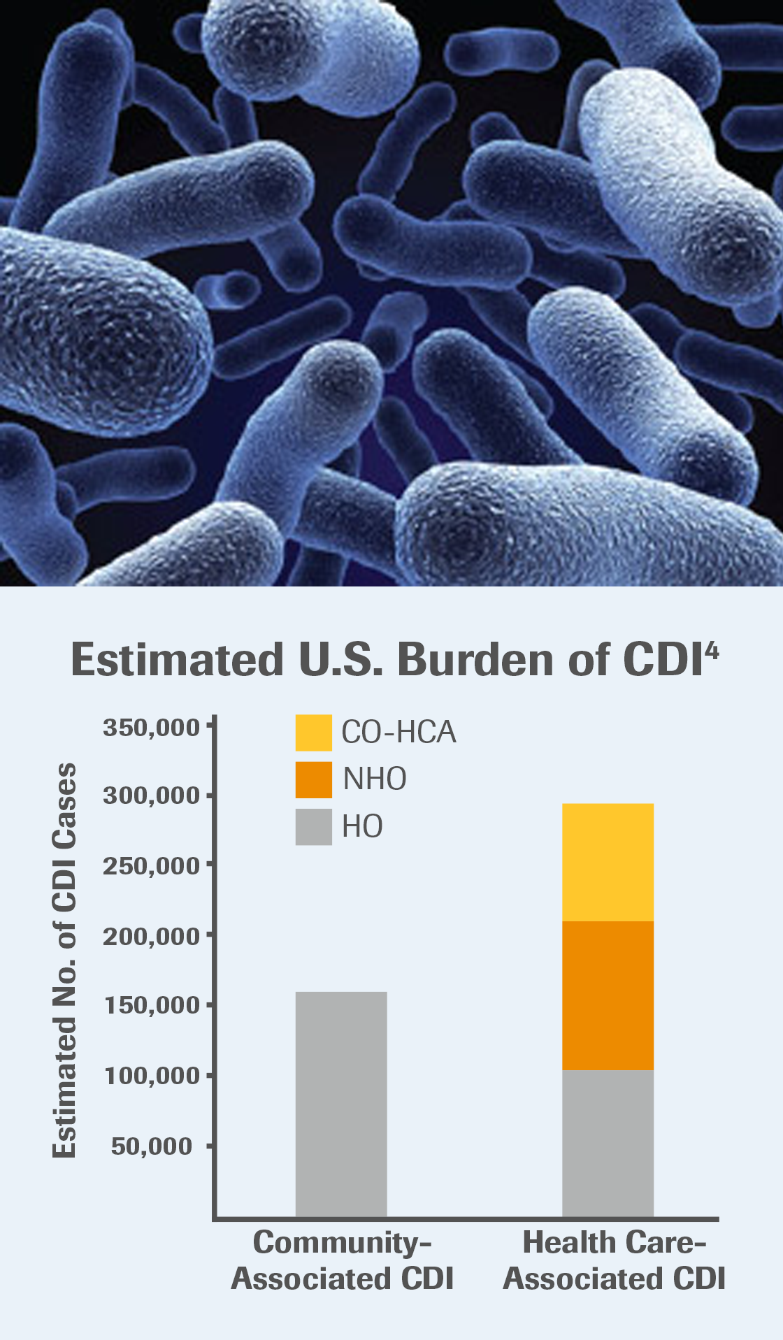 Bacteriology Is An Important Aspect Of Microbiology