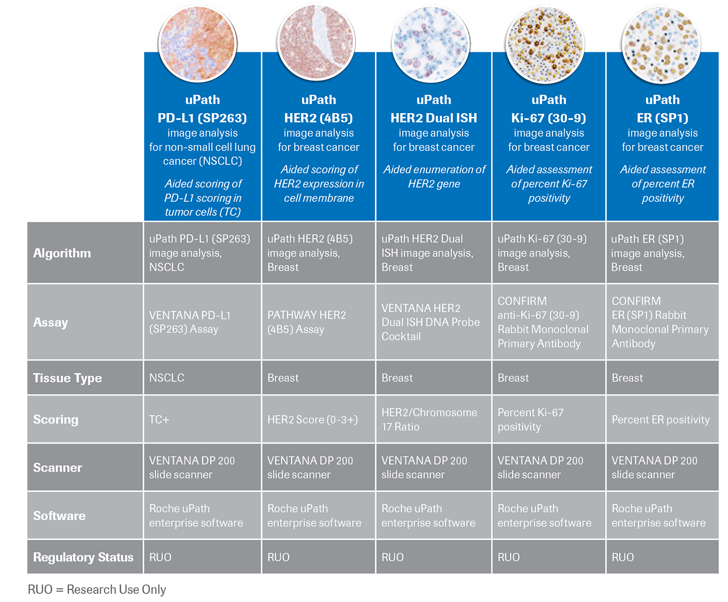 VENTANA PD-L1 (SP263) Assays