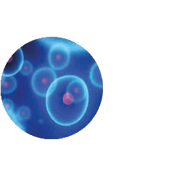 Cedex Analyzer Family