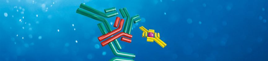 Immunoassay Interference Blocker
