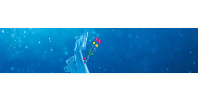 In vitro Glycoengineering of therapeutic proteins