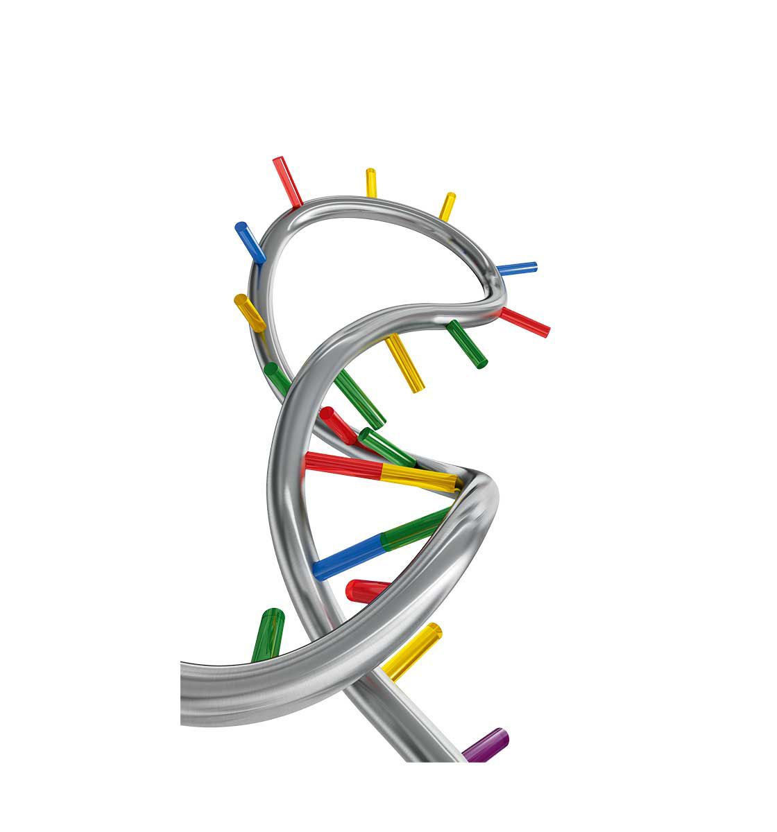 DNase I, rec., RNase-free, GMP Grade, from bovine pancreas, expressed ...