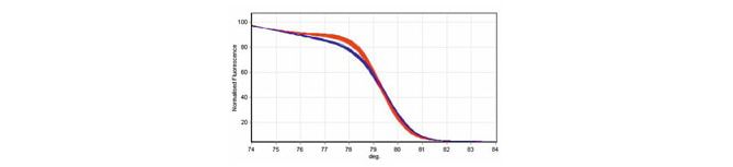 LightCycler® 96 System Performance Data