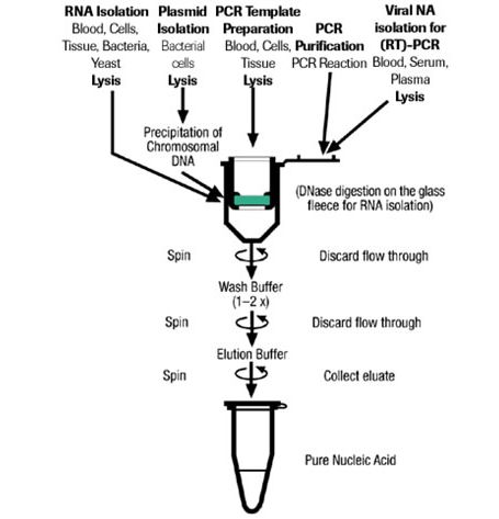 High Pure Technology and Silica Adsorption Kits