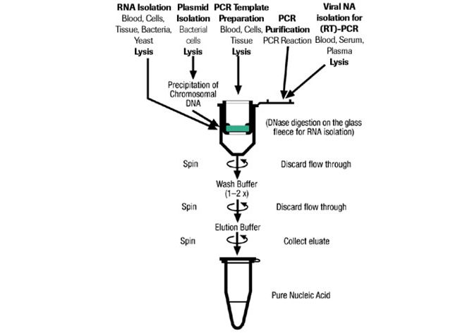 High Pure Technology and Silica Adsorption Kits