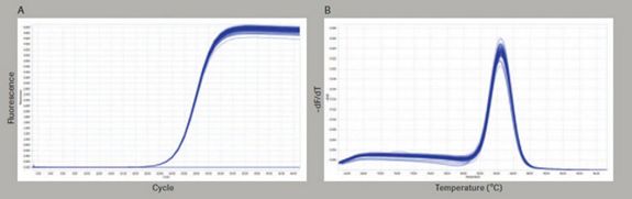 LightCycler® 96 System Performance Data