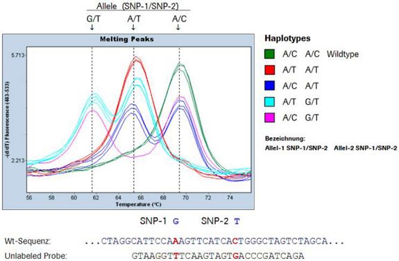 LightCycler® 480 System - High Resolution Melting and Gene Scanning