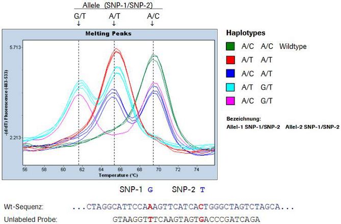 LightCycler® 480 System - High Resolution Melting and Gene Scanning
