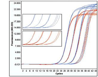 LightCycler® 480 System Reagents