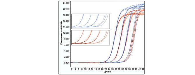 LightCycler® 480 System Reagents