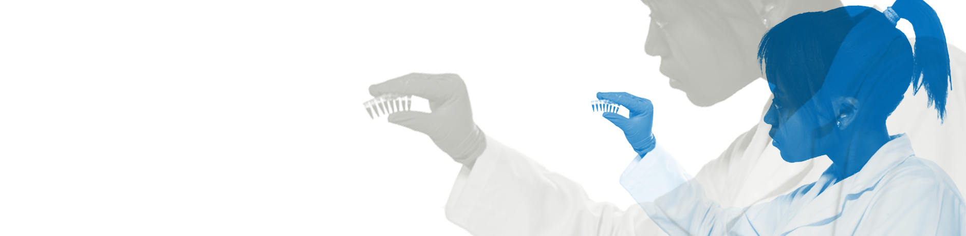 Whole Exome Sequencing