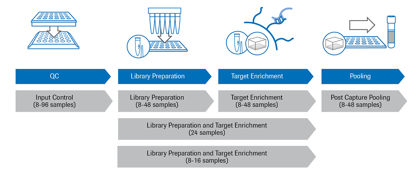 AVENIO Designer Software