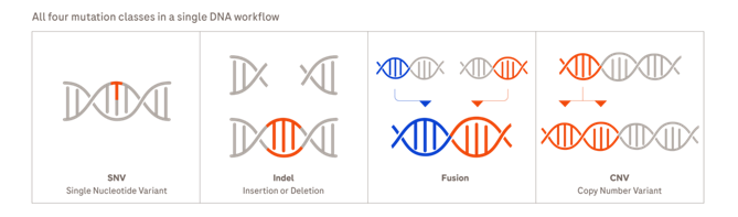 NGS Oncology Assays