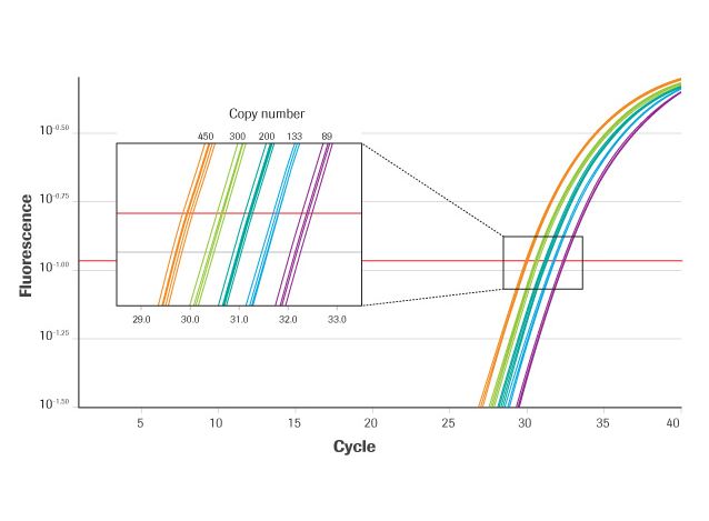 KAPA PROBE FAST qPCR Kits