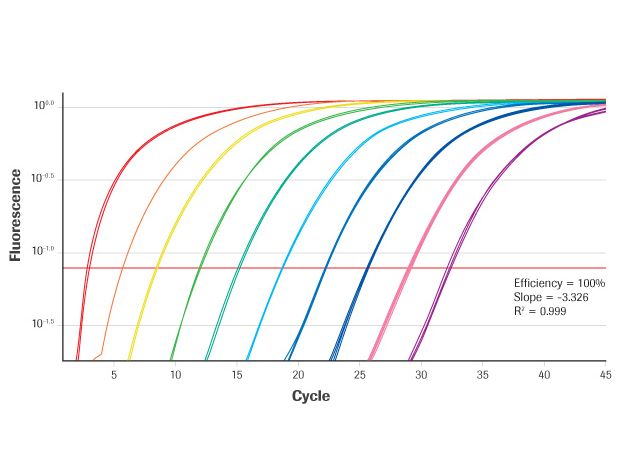 KAPA PROBE FAST qPCR Kits