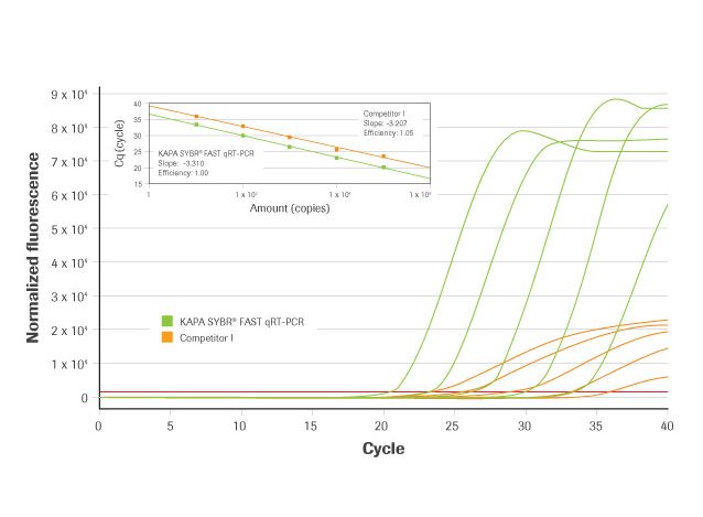 KAPA SYBR Fast One-Step qRT-PCR