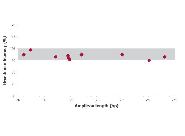 KAPA SYBR FAST qPCR Kits