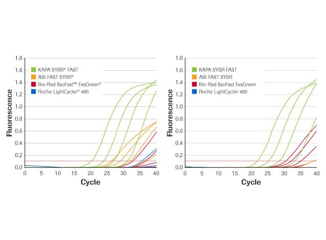 KAPA SYBR FAST qPCR Kits