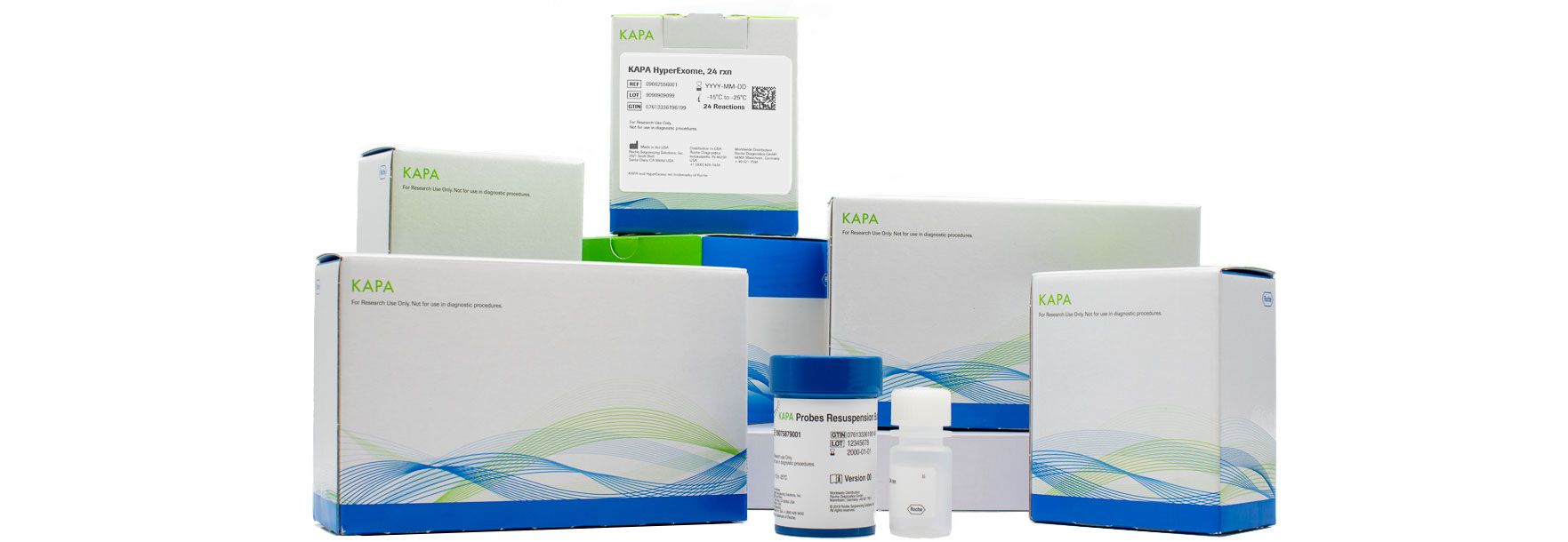 KAPA HyperCap Workflow