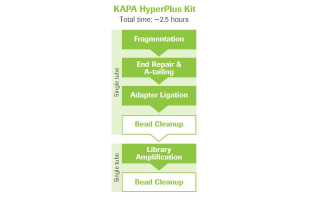 KAPA HyperPlus Kits