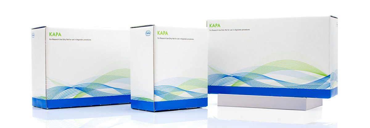 KAPA HyperCap Oncology Panel