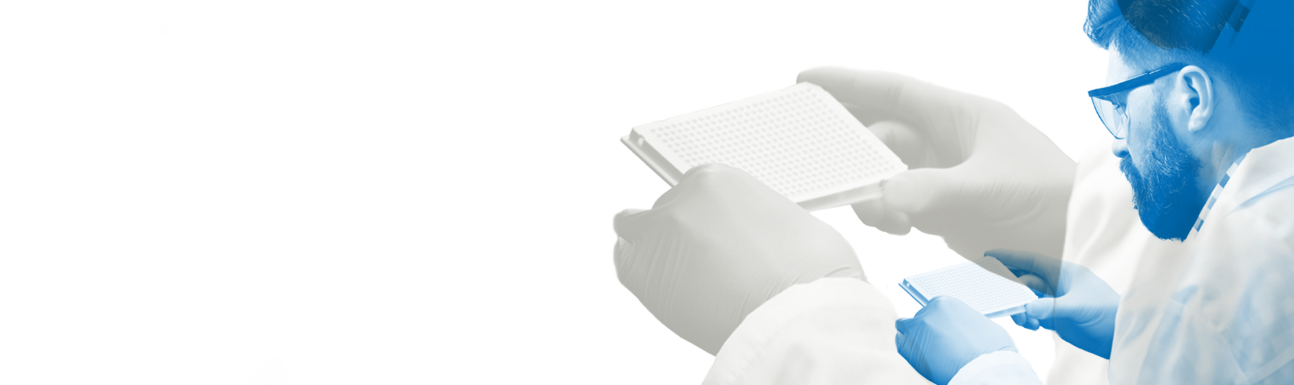 Library Quantification