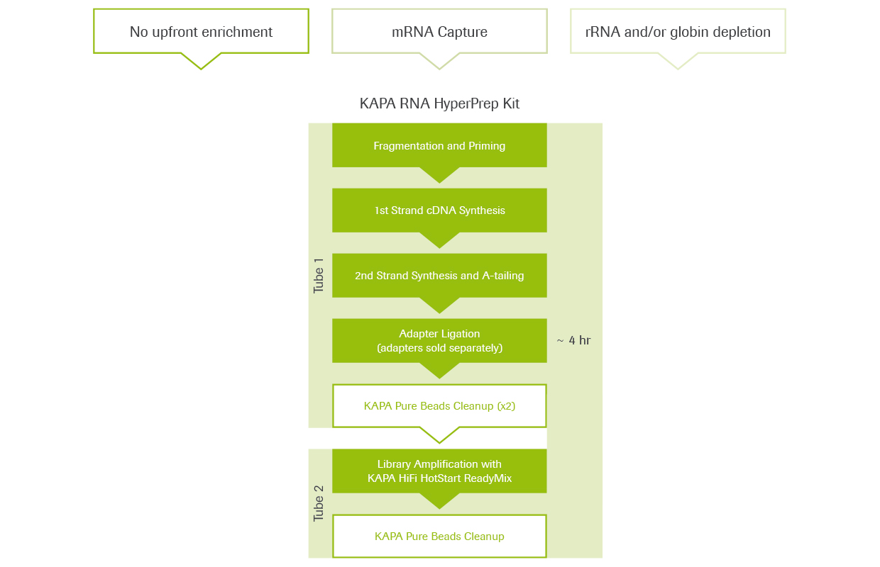 KAPA RNA HyperPrep Kits