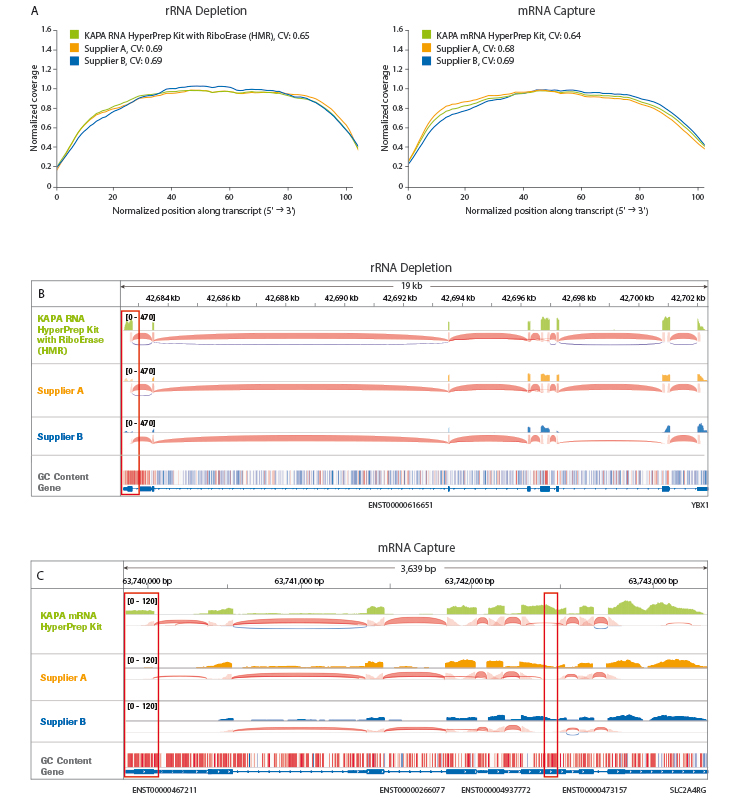KAPA RNA HyperPrep Kits