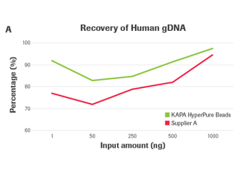 KAPA HyperPure Beads