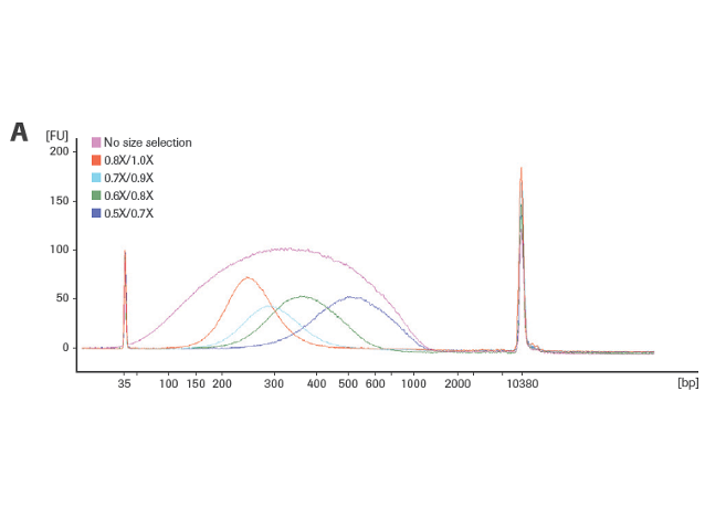 KAPA HyperPure Beads