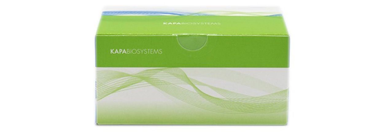 KAPA Pure Beads
