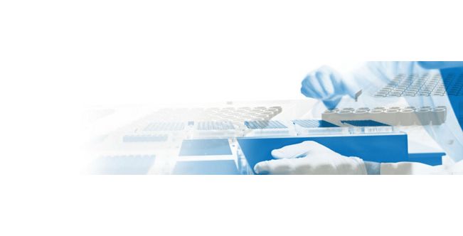 NGS Sample Preparation Reagents