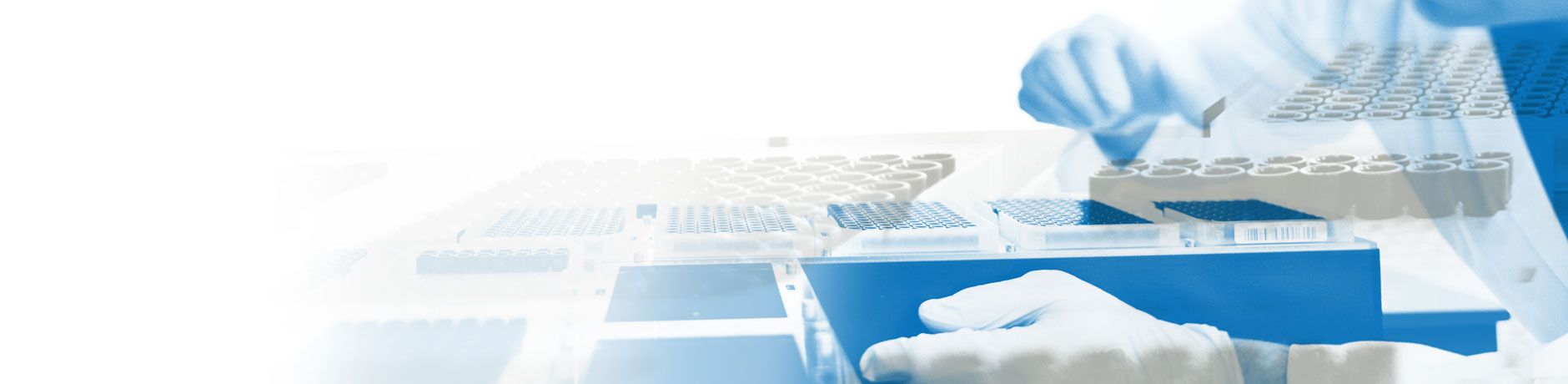 DNA Library Preparation